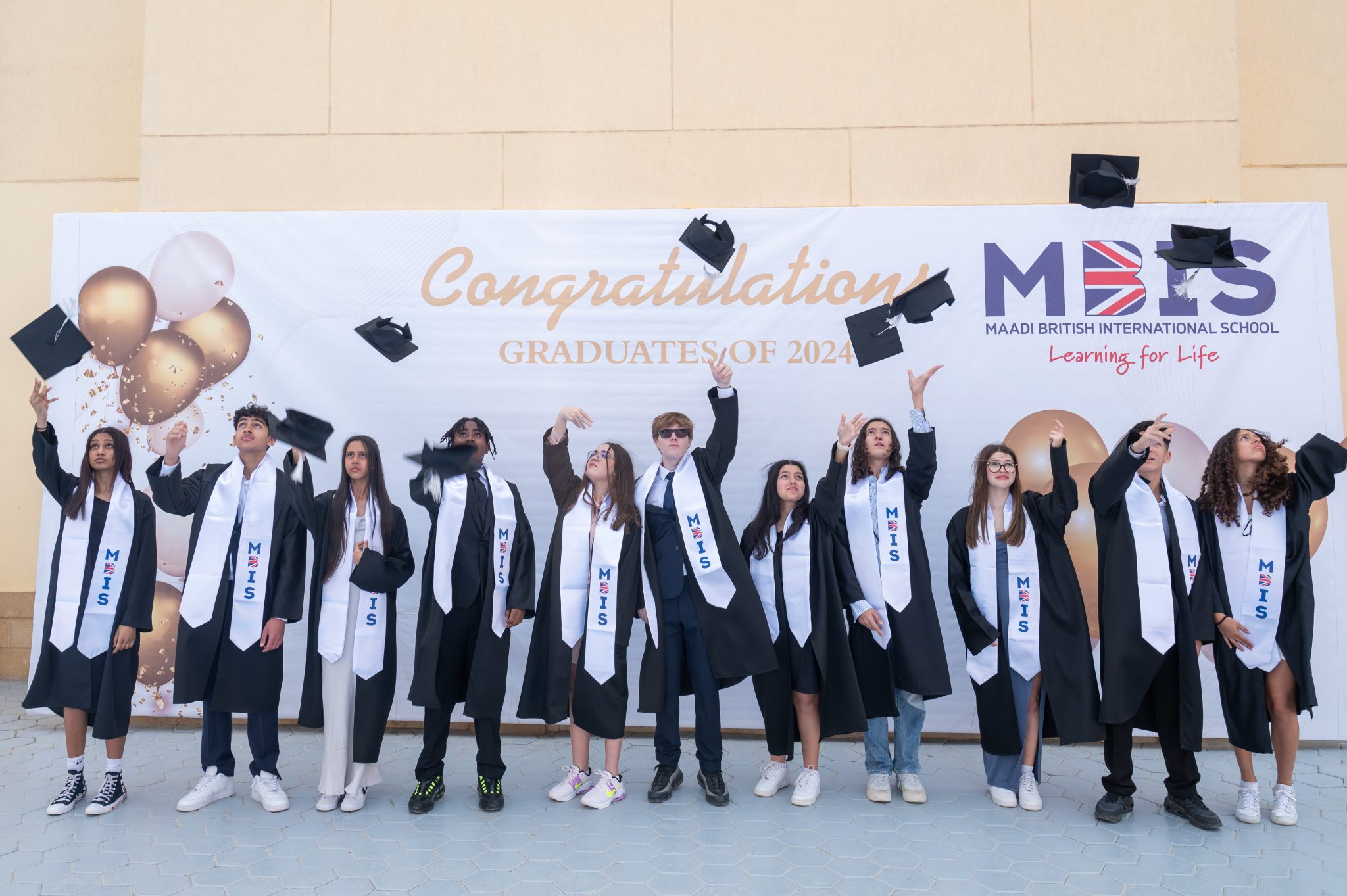 Examination Results – Mbis egypt